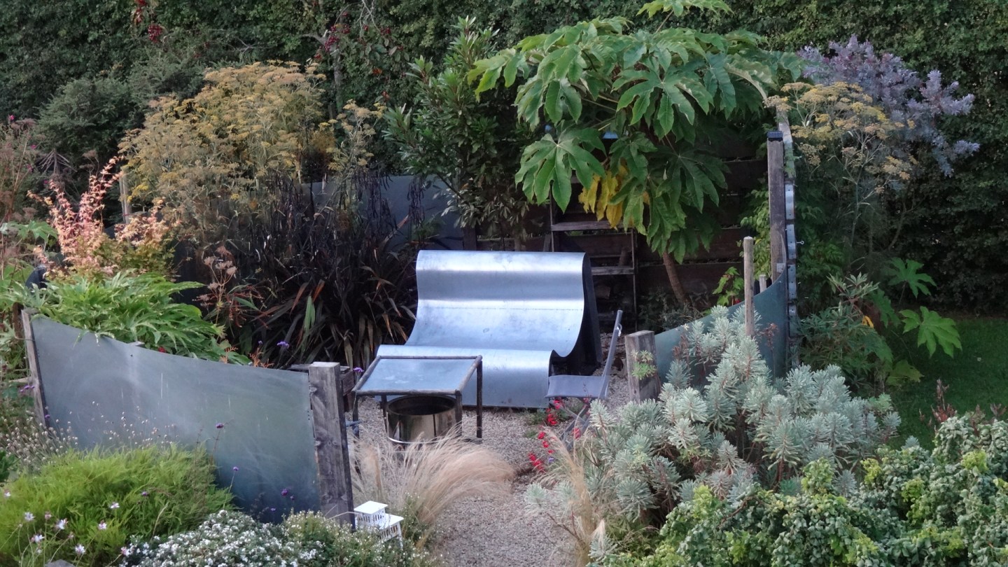 Ciaran Burke Plants & Gardening – Ciaran The Gardener